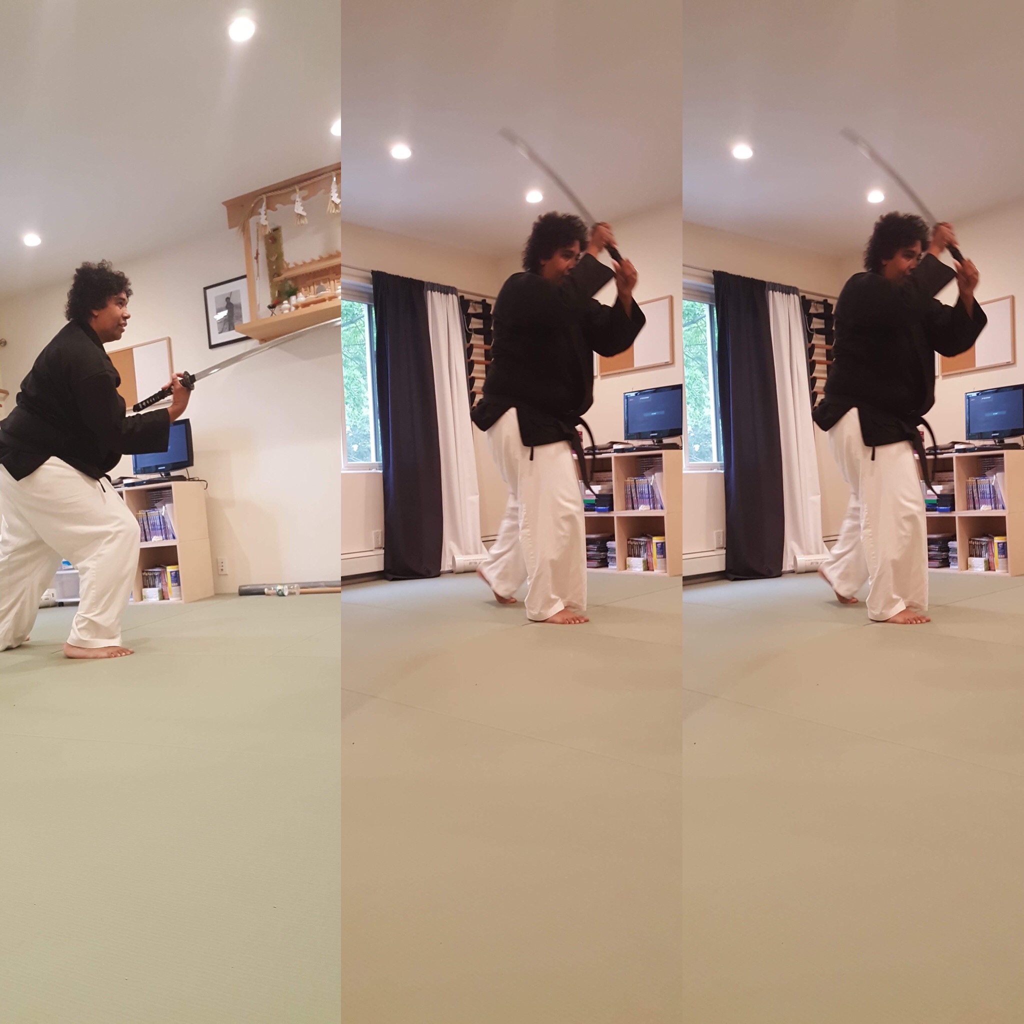 Rukasu Budo Dojobujinkan, martial, arts, meditation, fitness, health ...